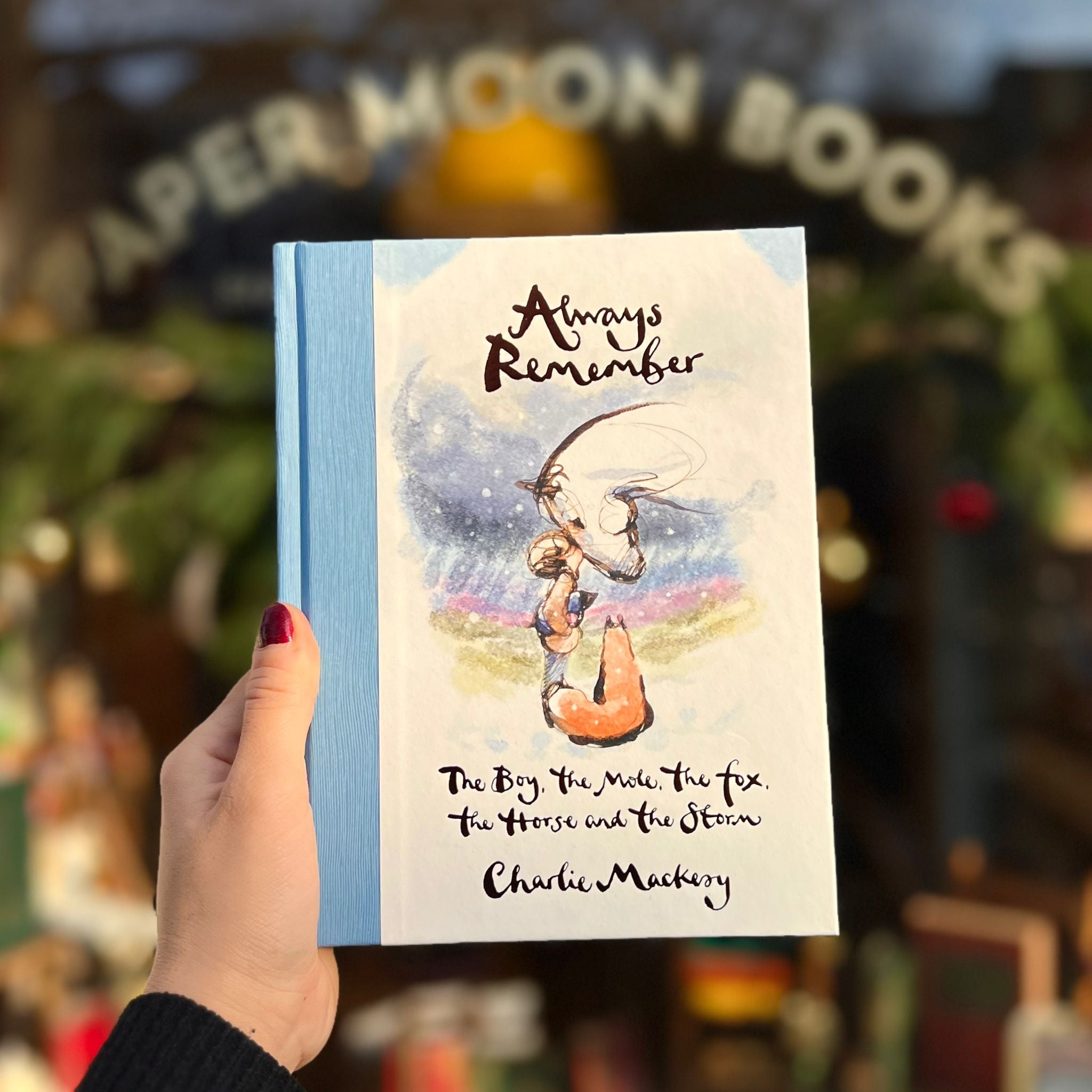 Always Remember: The Boy, The Mole, The Fox, The Horse and The Storm ...